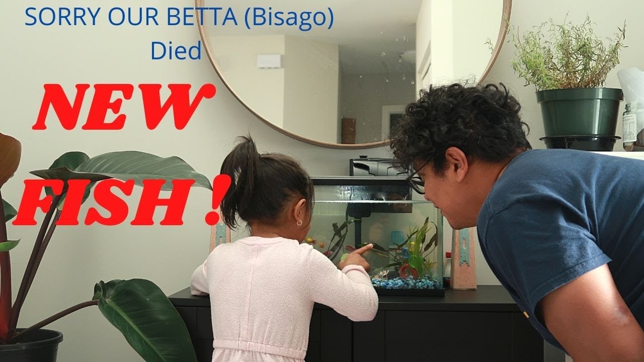 Ciara`s First Check Up ! and We Got A New FISH ! - YouTube