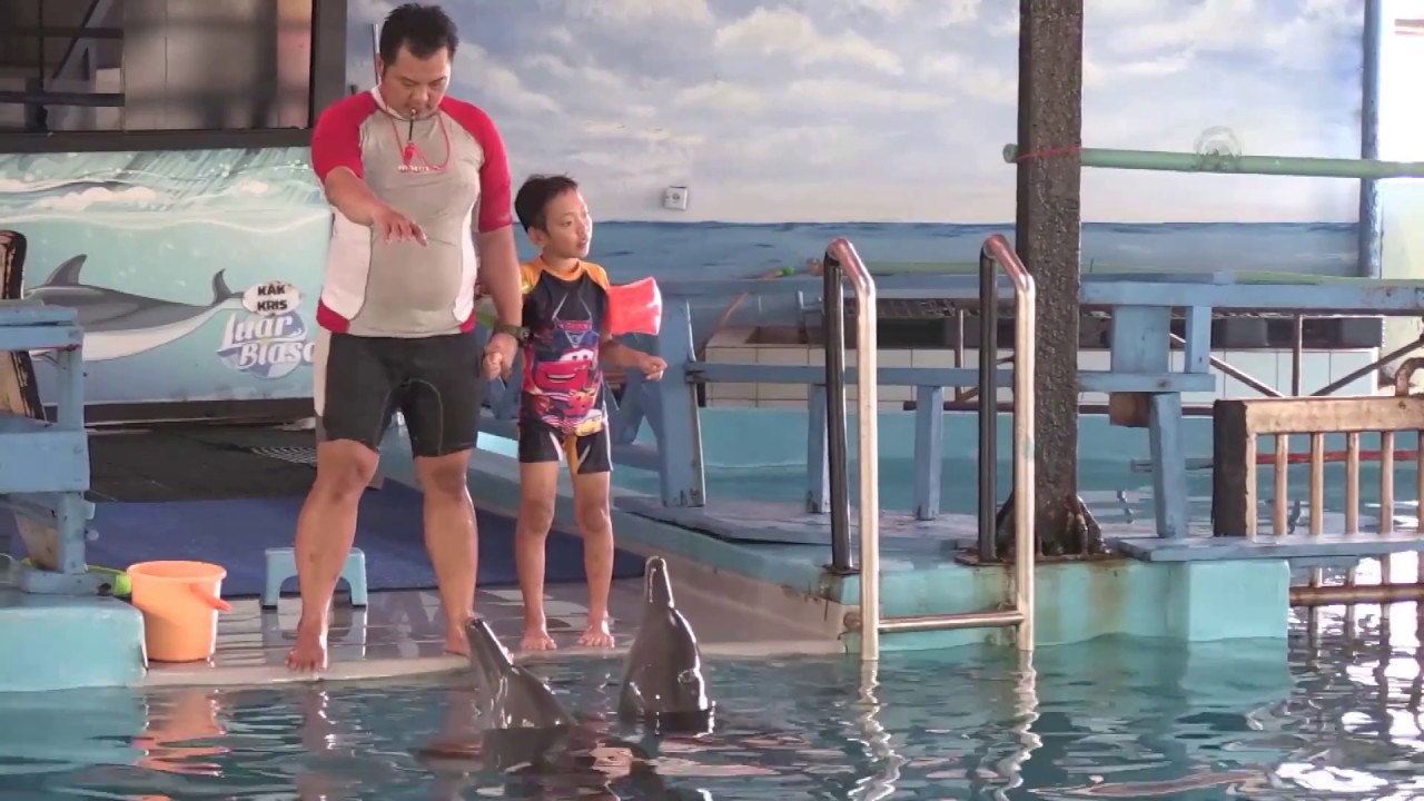 Dolphin therapy in Jakarta for kids with autism. - YouTube