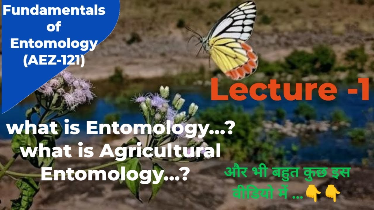 Fundamentals of Entomology (AEZ-121)।। what is Entomology ...