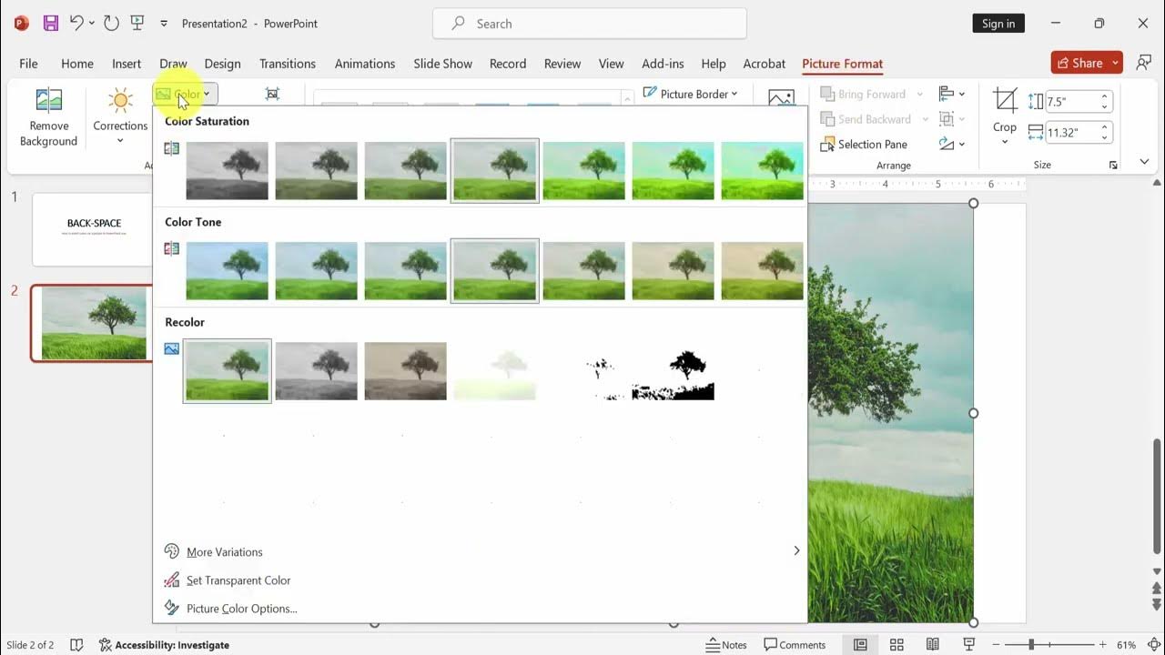 How to invert colors on a picture in PowerPoint mac - YouTube