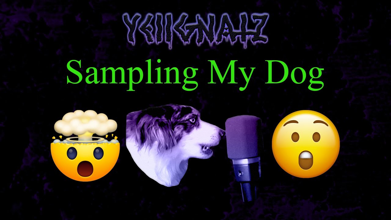 Sampling My Dog Using Autotune (Tutorial) - YouTube