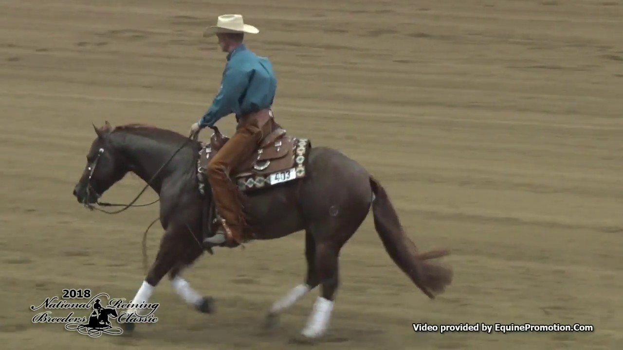 High Rolling Spook ridden by Nathan Piper - 2018 NRBC (Sec. 1 Open ...