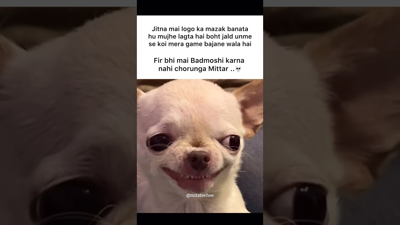 Badmoshi #memes #popular #viral #funnymemes #tweetreels #badmoshi - YouTube