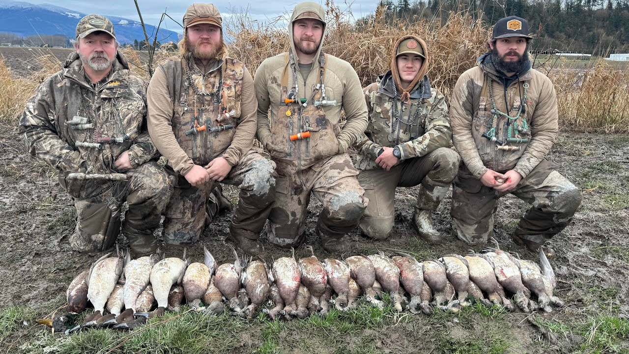 Grass Munchers. A grass field wigeon hunt. - YouTube