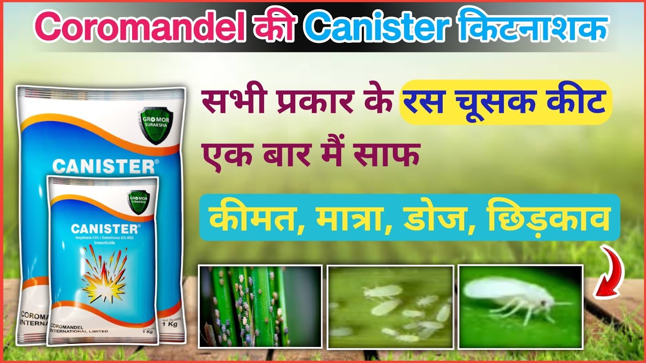 coromandel canister insecticide | Hexythiazox 3.5% + Diafenthiuron 42 ...