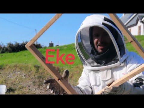 Feeding your Bees, adding an Eke to create space, simply! #eke - YouTube