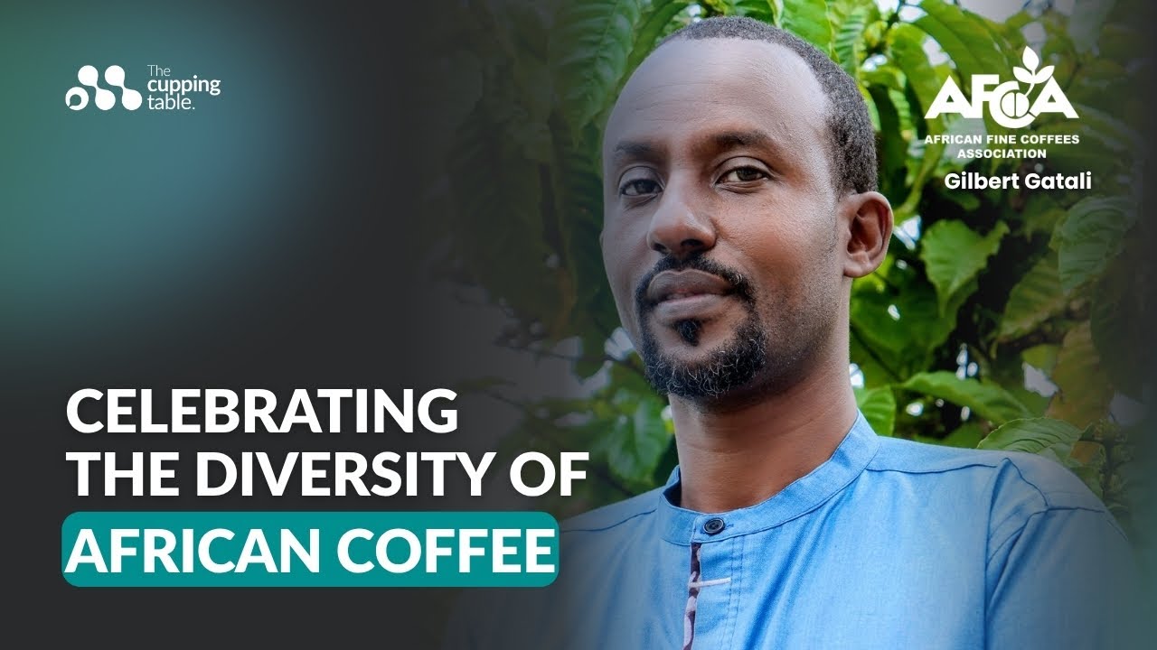 AFCA | Celebrating the Diversity of African Coffee - YouTube