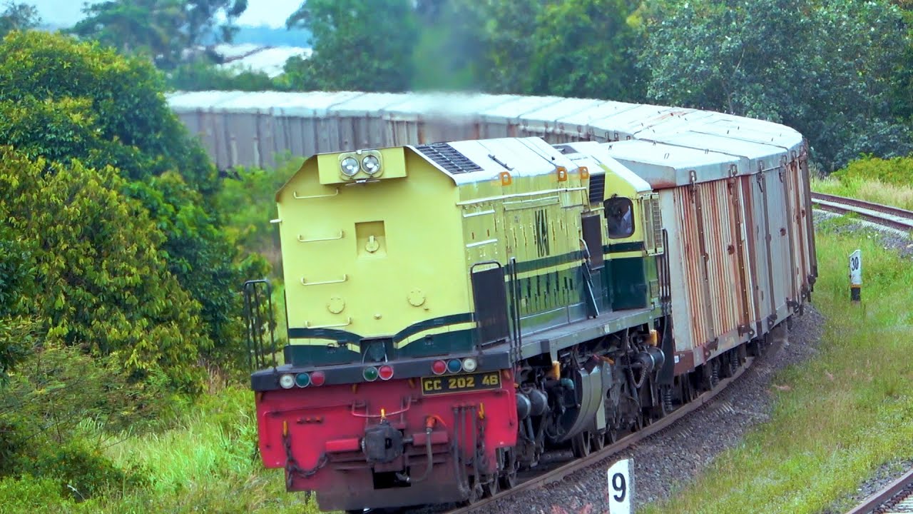 Livery Vintage Kereta Api Pulp PT TEL, Kuala Stabas Kobong Tipis. - YouTube