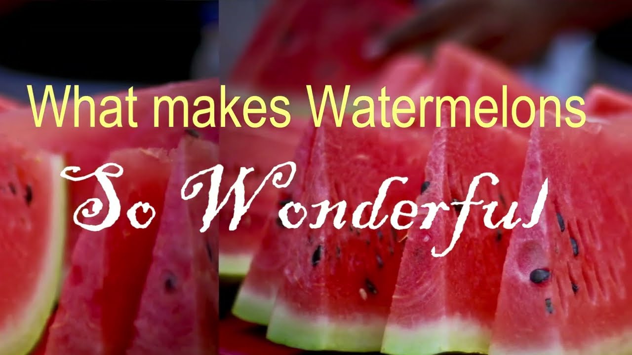 Why Watermelons are so Special - YouTube