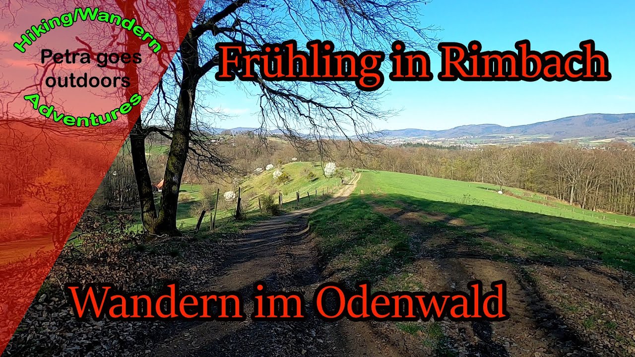 Frühling in Rimbach - Wandern im Odenwald / Naturdenkmal: Stein Gruppe ...