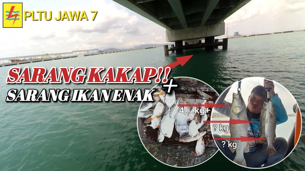 Luar Biasa!! Mancing Pas Air Laut Mulai Naik Auto Panen - YouTube