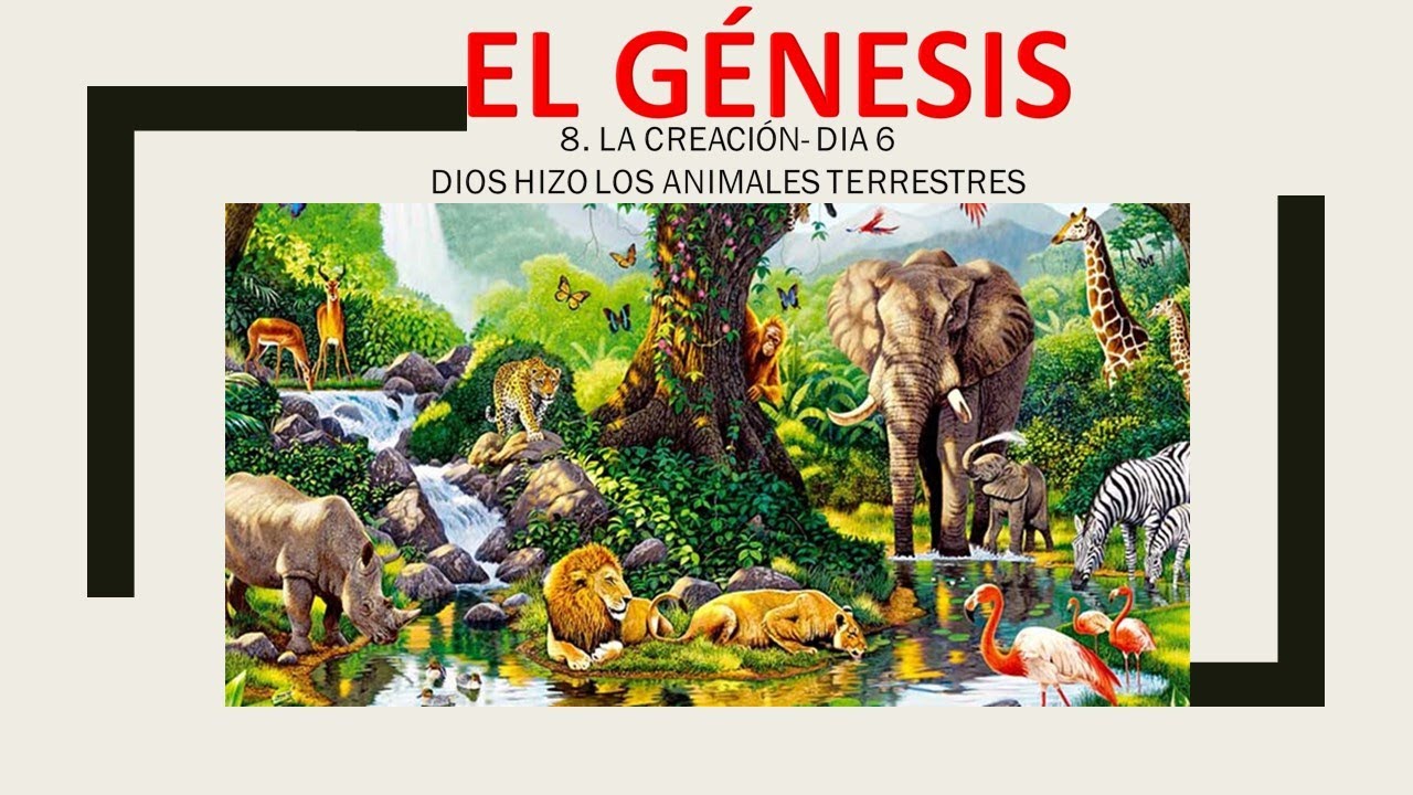 EL GÉNESIS - Clase 8_ DÍA 6 DIOS CREÓ LOS ANIMALES TERRESTRES - YouTube