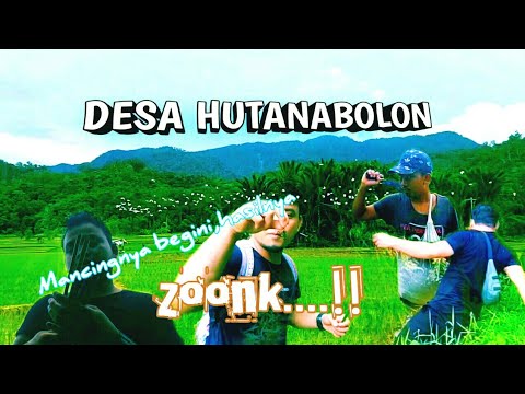 MANCING MANIA DI SAWAH || MANCING AMBYAR TERBARU || ALBERTUS SIBOLGA || LANGKAHKU ADALAH CERITAKU