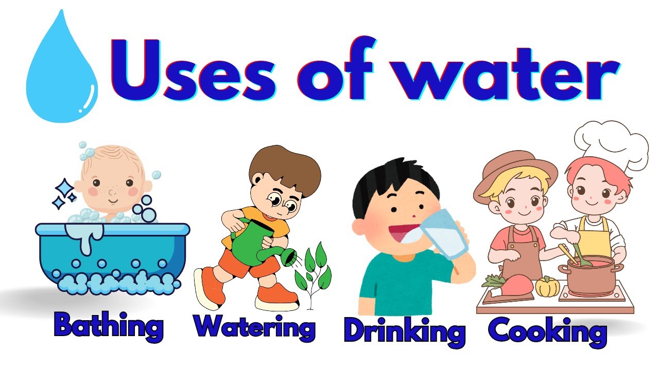 Uses of Water || Water and It's Uses || Importance of Water for Grade 1 ...