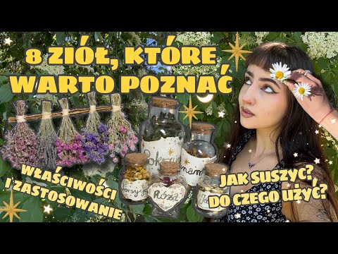 ZIOŁA, KTÓRE CIĘ ZASKOCZĄ🔮jak zbierać? jak suszyć i do czego używać?🌱| Natasza Baszczyj 