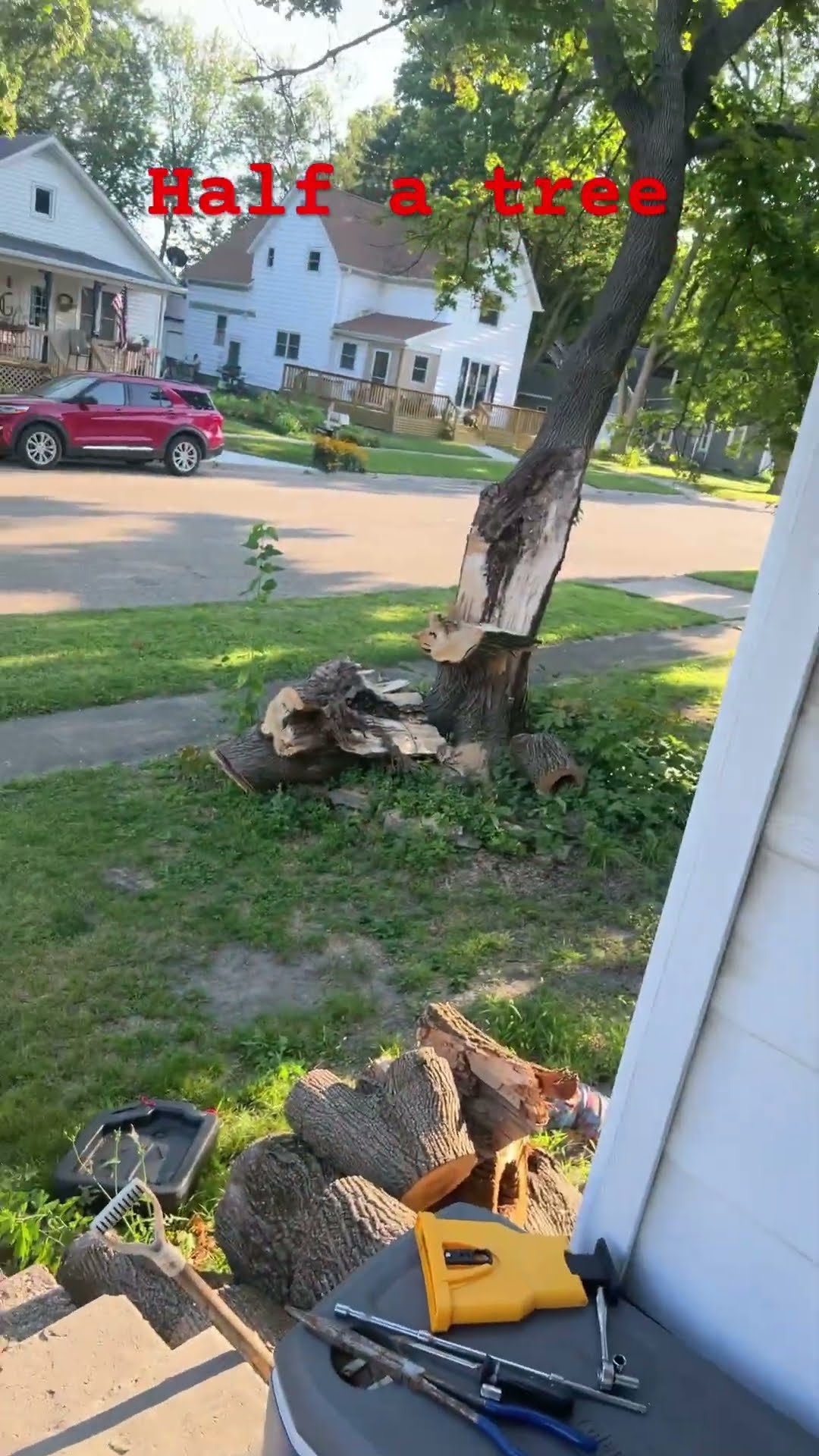 Half a tree - YouTube