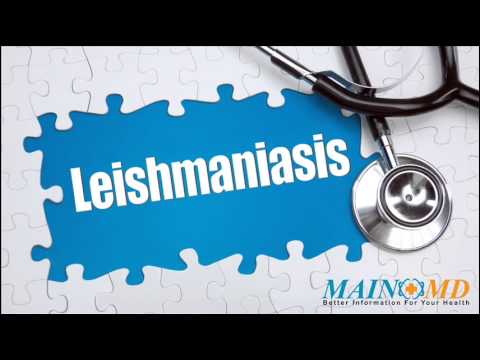 Leishmaniasis ¦ Treatment and Symptoms - YouTube