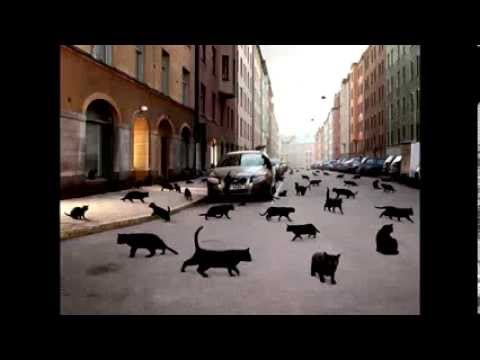 Bizarre Screensaver Wallpaper - YouTube