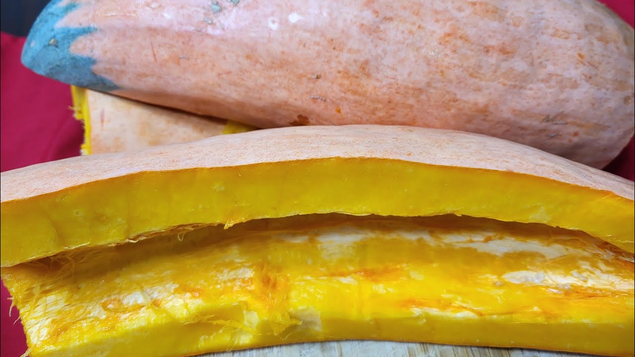 Cutting open my North Georgia Candy Roster Squash to save seeds. - YouTube