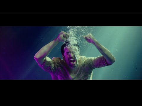 Dotan - No Words (Official Music Video)