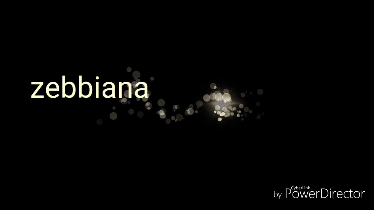 Zebiana music video - YouTube
