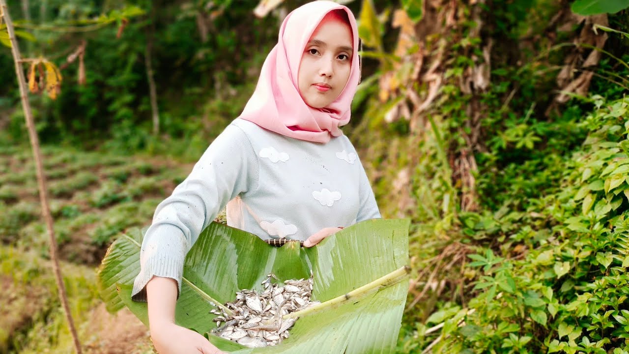 WOWW SERUUU!! PANEN IKAN DI SAWAH BARENG TEH ANI JANDA DESA CANTIK ASLI ...