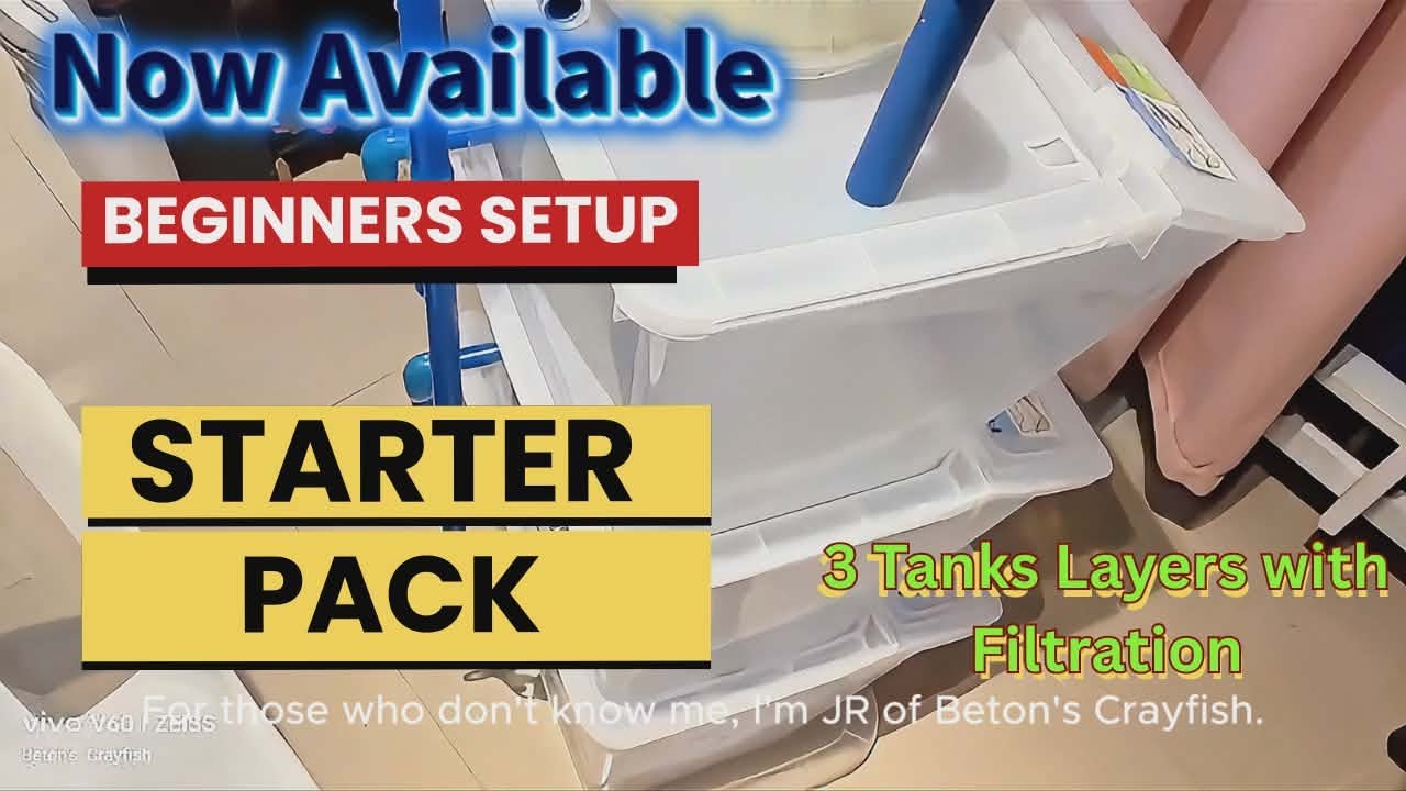 DIY Crayfish Breeding Tank - Easy Container Setup. Now Available. 3 ...