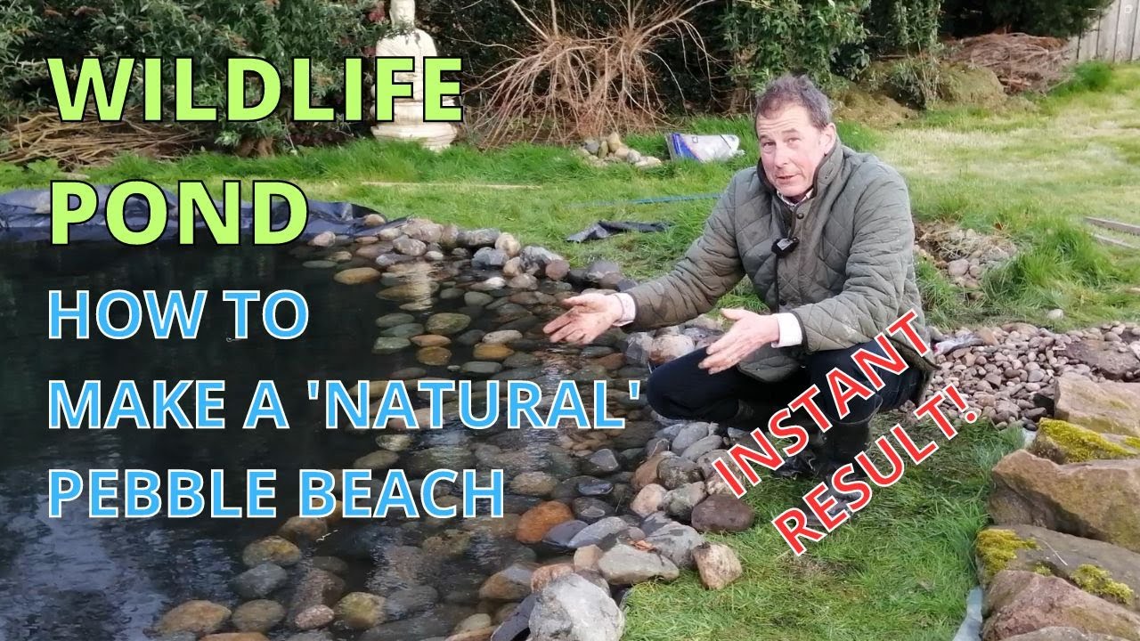 Wildlife Pond how to make a Beautiful Natural Pebble Beach - YouTube