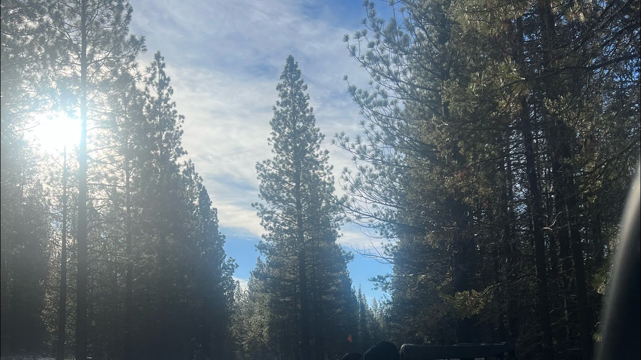 Sledding & Christmas Tree Hunt in Deschutes National Forest, Oregon ...