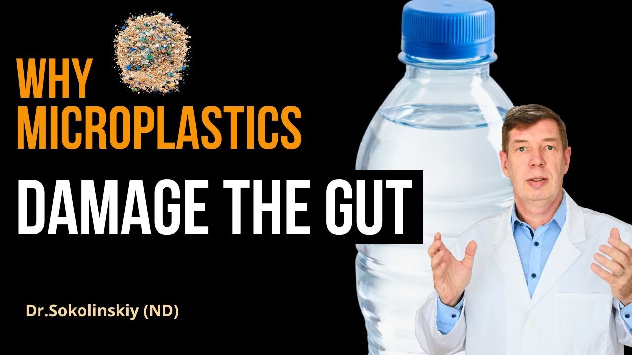 Microplastics in the Human Body: They Damage the Gut, Microbiota, and ...