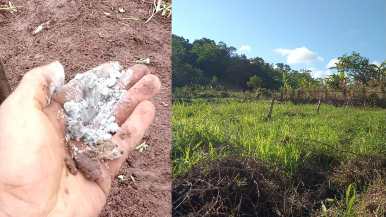 VEJA COMO FAZER O LAMBIQUE E O CANTEIRO PARA BATATA DOCE!!! MUDANÇA DE ...