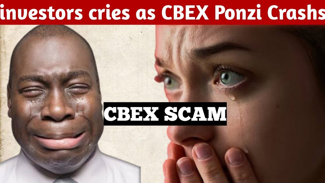 CBEX || investors cries as CBEX Ponzi Crashs || lessons to learn ...