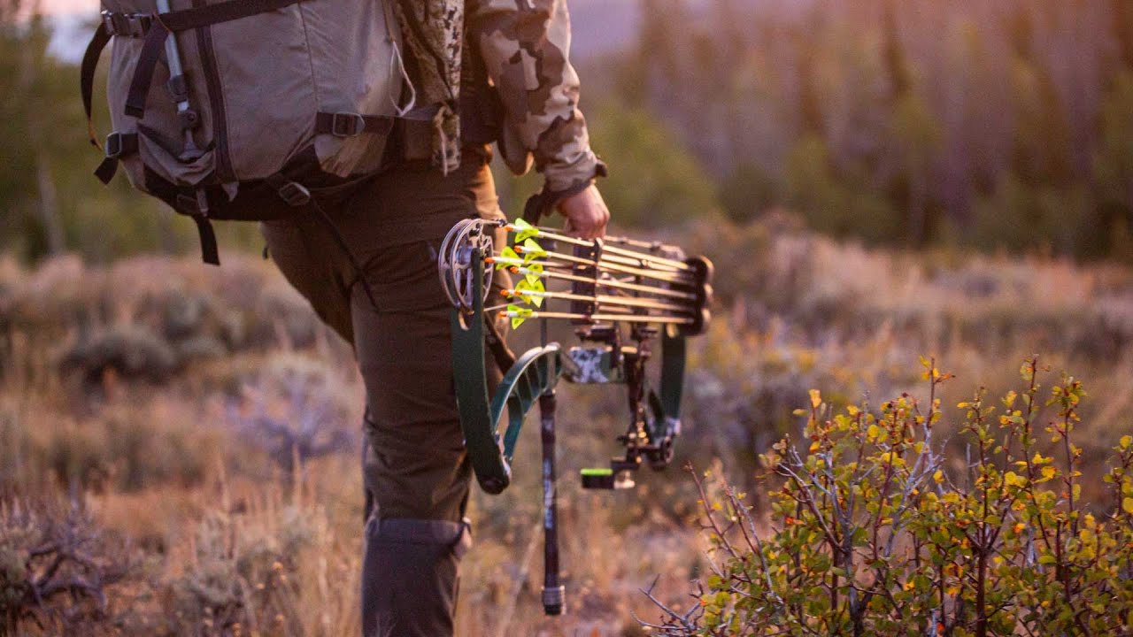 Wyoming High Country Archery Mule deer Hunt - YouTube