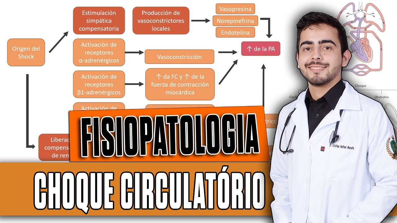 Insuficiência/Choque Circulatório [PARTE 1/4] │ Fisiopatologia - YouTube