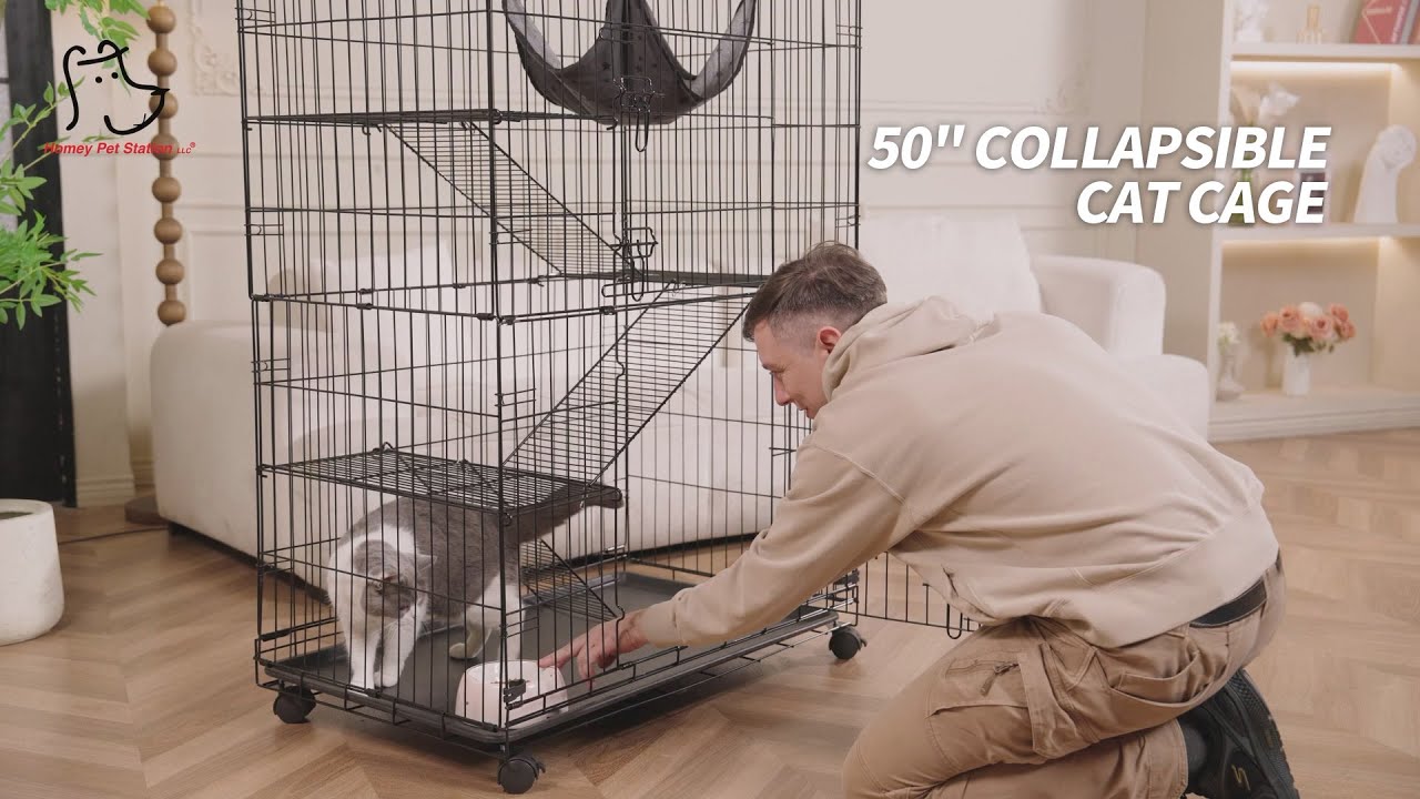 Unleash the Magic of the 50-Inch Foldable Cat Cage! 🐾 - YouTube