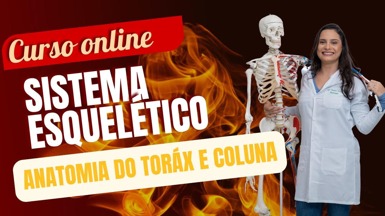 Curso Online de Sistema esquelético (Aula 4/6) - Anatomia da coluna e ...