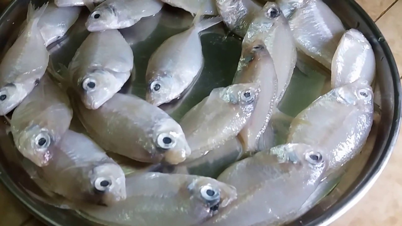 Vellai Sudumbu/Karapodi Meen Kuzhambu|Authentic Fish Gravy|Healthy Diet ...