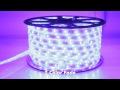 RGB Color Changing LED Strip Light - 120 Volt - High Output (SMD 5050 ...