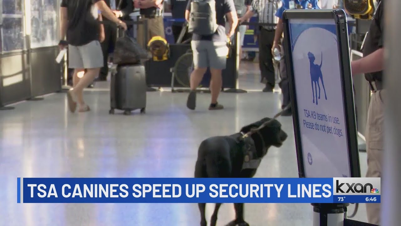 TSA dogs speed up security lines at AUS - YouTube