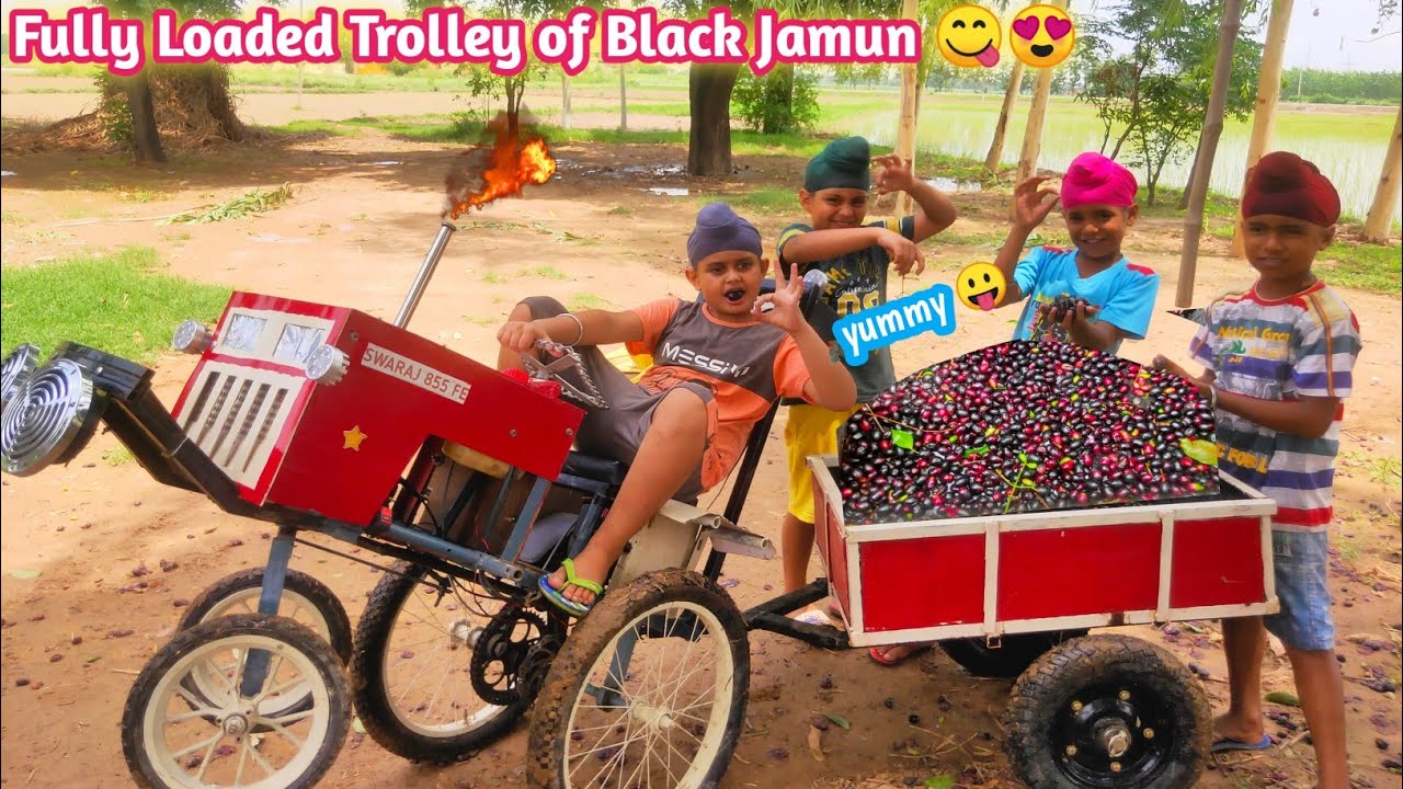 Homemade mini tractor trolley fully Loaded with black Jamun | - YouTube