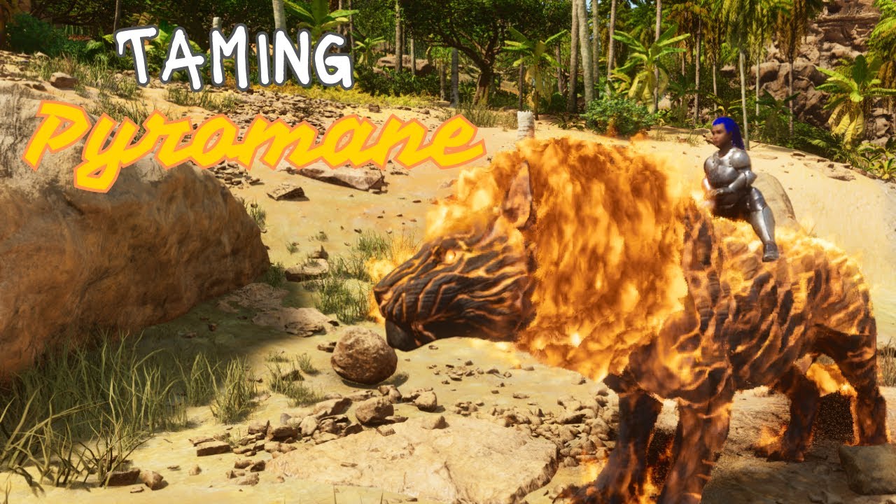 Trying to tame a Pyromane #arkascended #ark #arkpyromane - YouTube