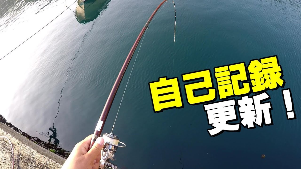 石鯛連発！！ヘダイが石鯛に変わった日 striped beakfish fishing - YouTube