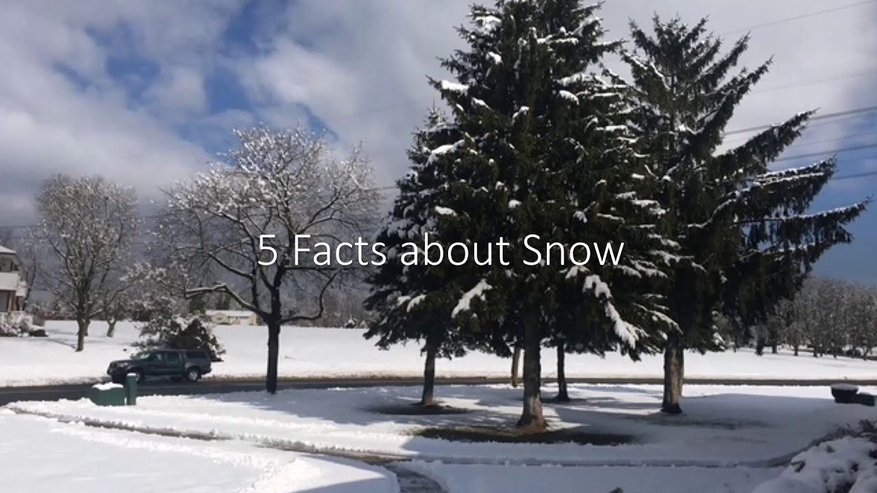 5 Facts about Snow - YouTube