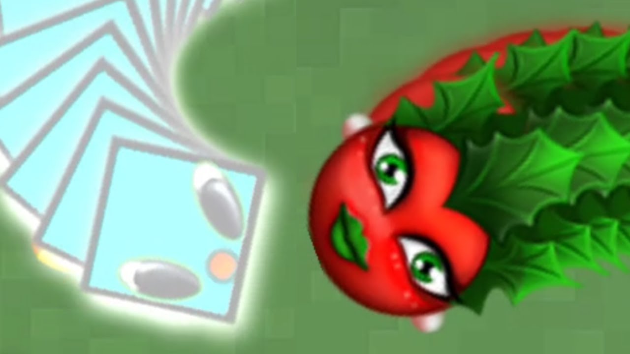 Worms Zone Mod | How to Play with Custom Maps and Modes - YouTube