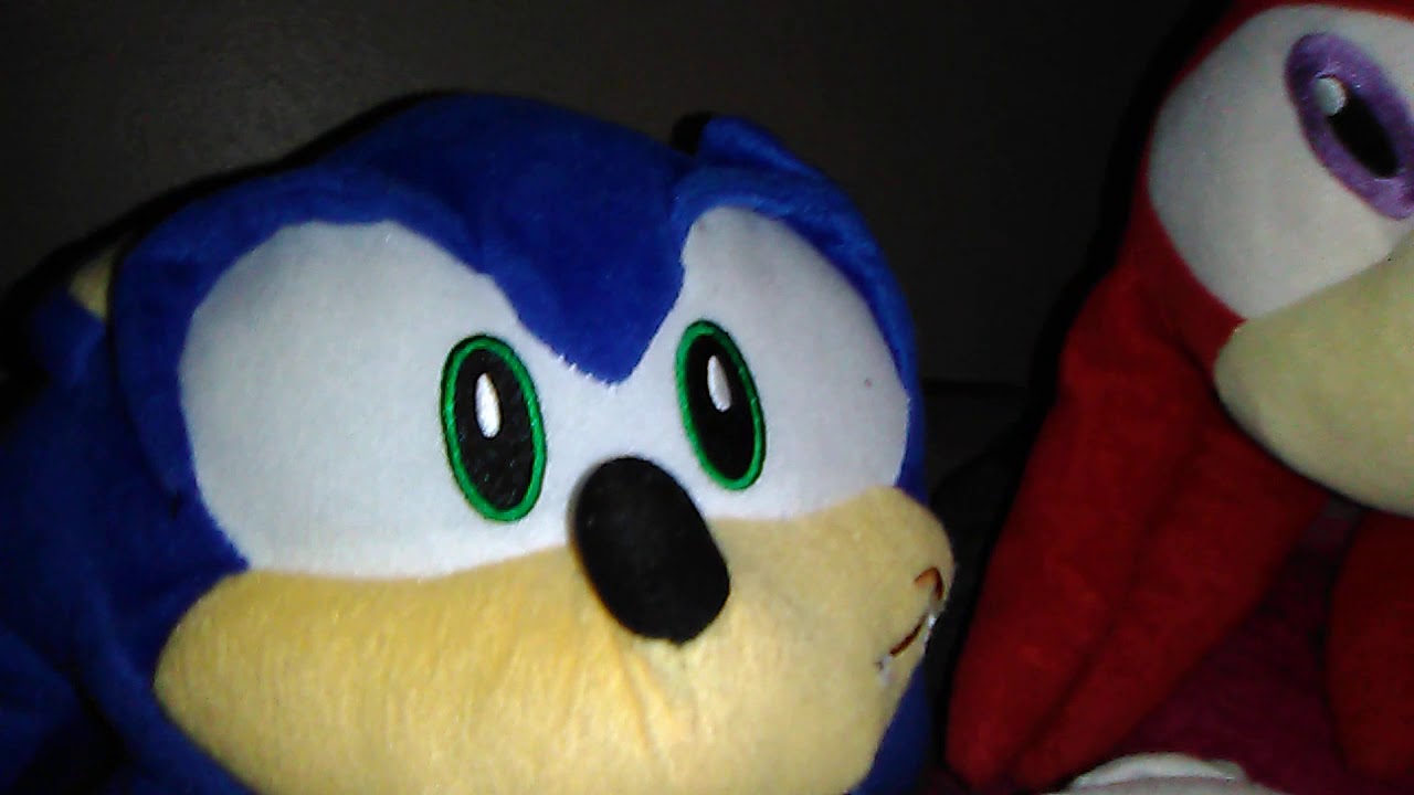 SST : How Sonic and bunny meet 😎🐰 - YouTube