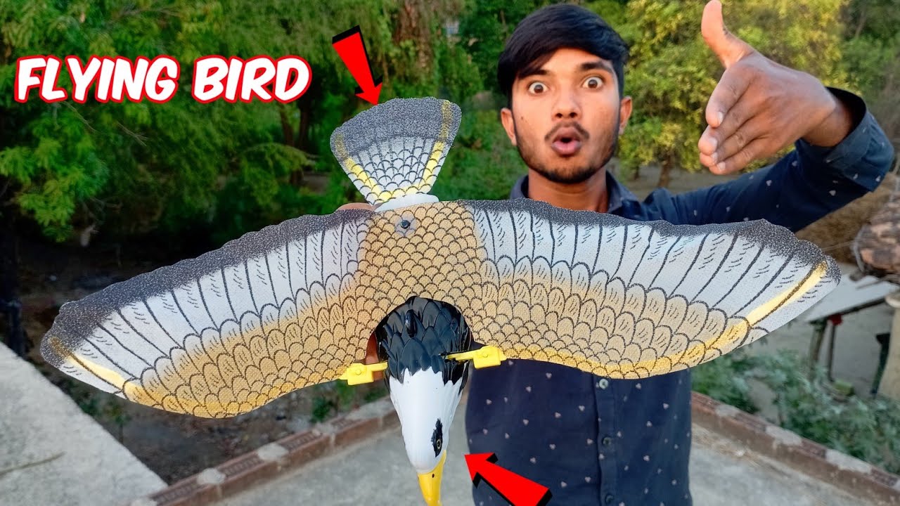 Eagle Bird Toy || Hang Flying Eagle Unboxing & Flying - YouTube