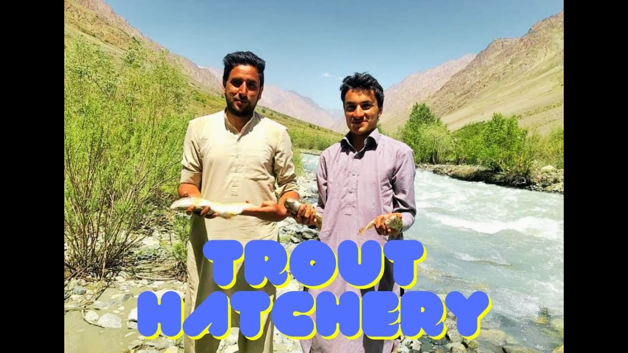 Madyan, Chail Trout Fish Farms, Swat Valley, Pakistan. - YouTube
