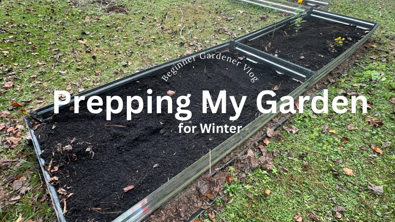 Preparing My Garden for Winter | Essential Winter Gardening Tips - YouTube