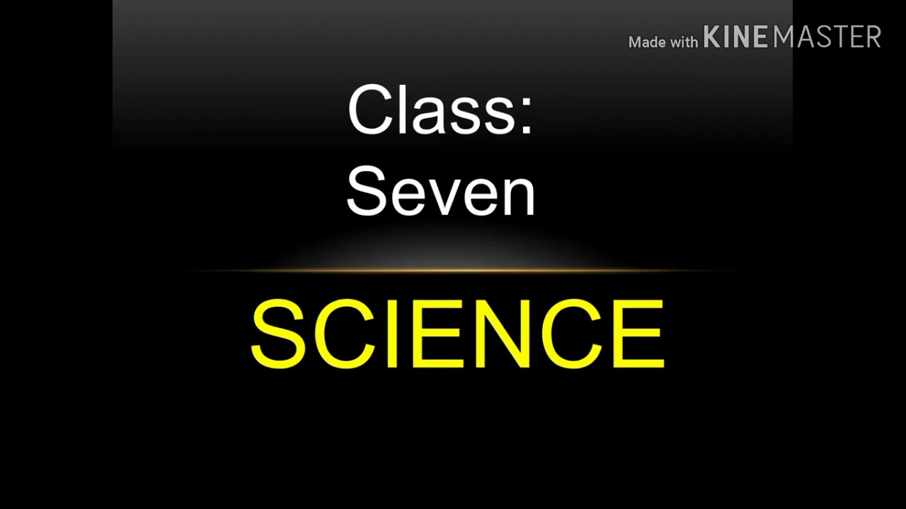 Class Seven: Chapter- 1, Lower Organisms - YouTube