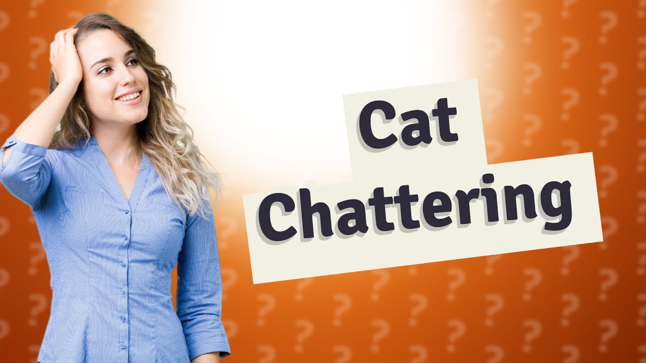 Why do cats chatter their teeth when they see something? - YouTube